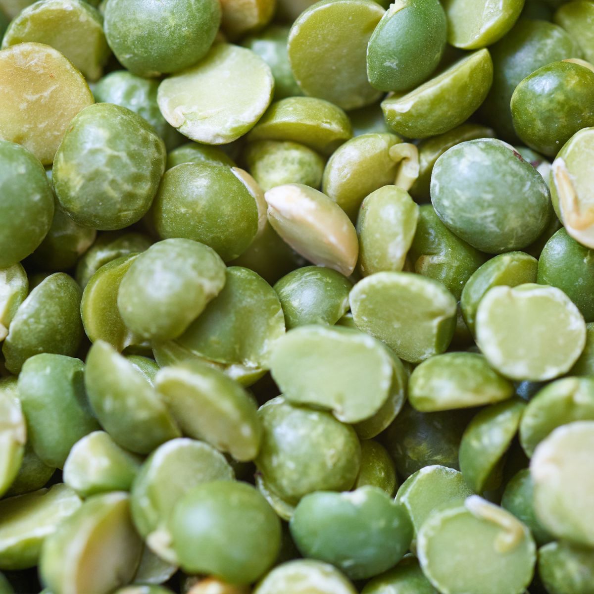 Piselli Verdi secchi spezzati